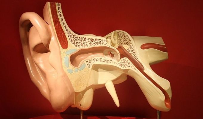 A Guide to External Ear Infections from an ENT Specialist in Singapore ...