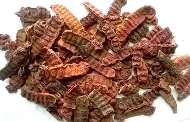 What Is Shikakai? - Health Life and Recipes